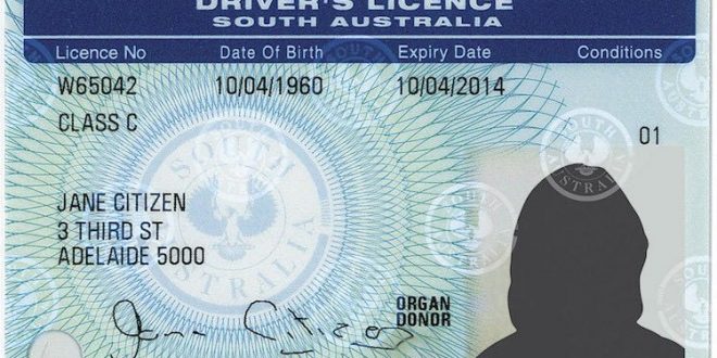 fake-drivers-licence-south-australia-power