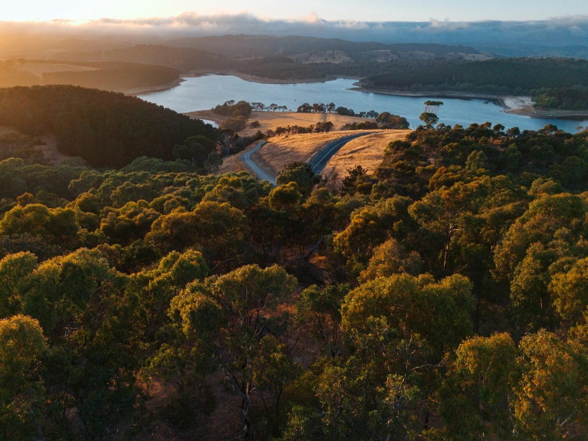 DJI's new Lito series drones are aimed at first time aerial ...